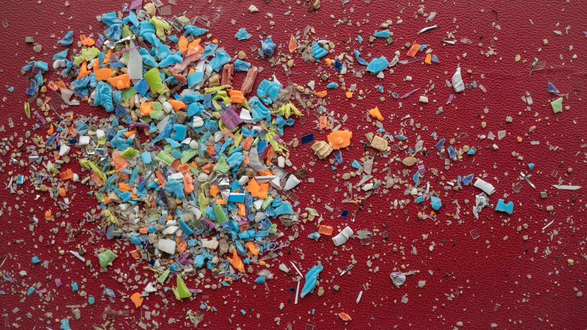 Microplastics found to alter gut bacteria tied to cancer, depression in ...