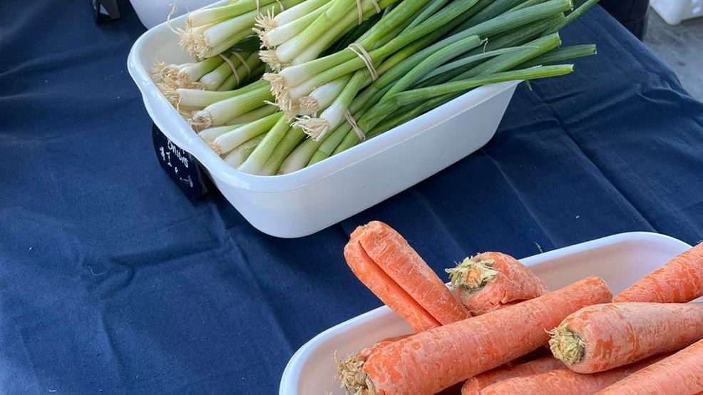 Pop-Up Produce Stands return this fall with affordable options for ...