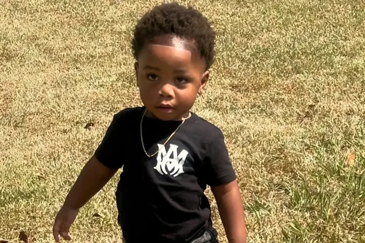 A 2-year-old was mauled to death by dogs. Now his babysitter has been ...