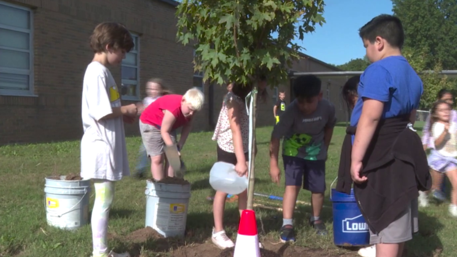 Grant funds new trees, butterfly garden at Neosho elementary school