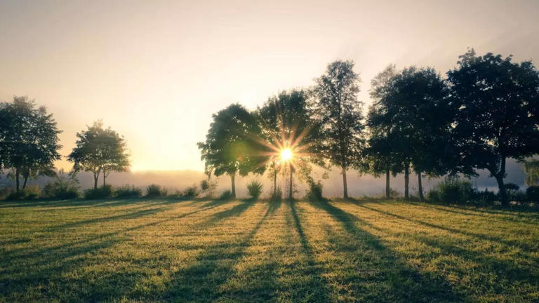 Reset your sleep cycle: Could a few minutes of morning sunlight fix ...