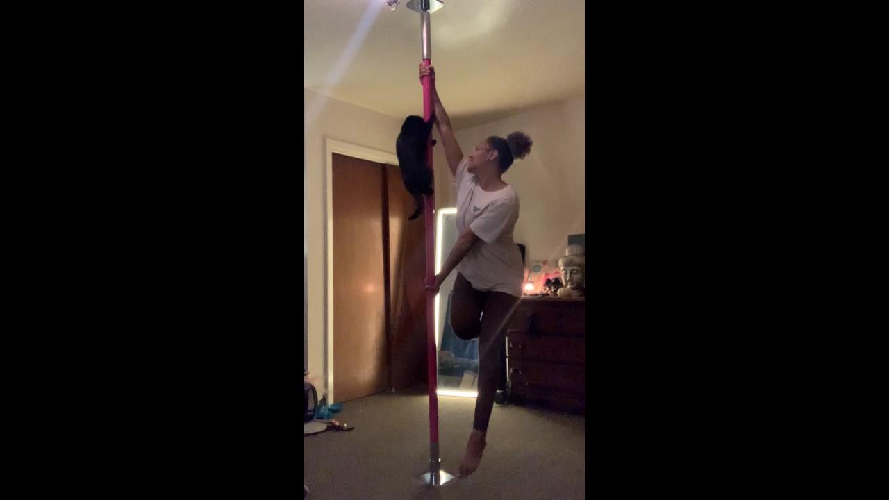 Pole Dancing Cat Steals the Show