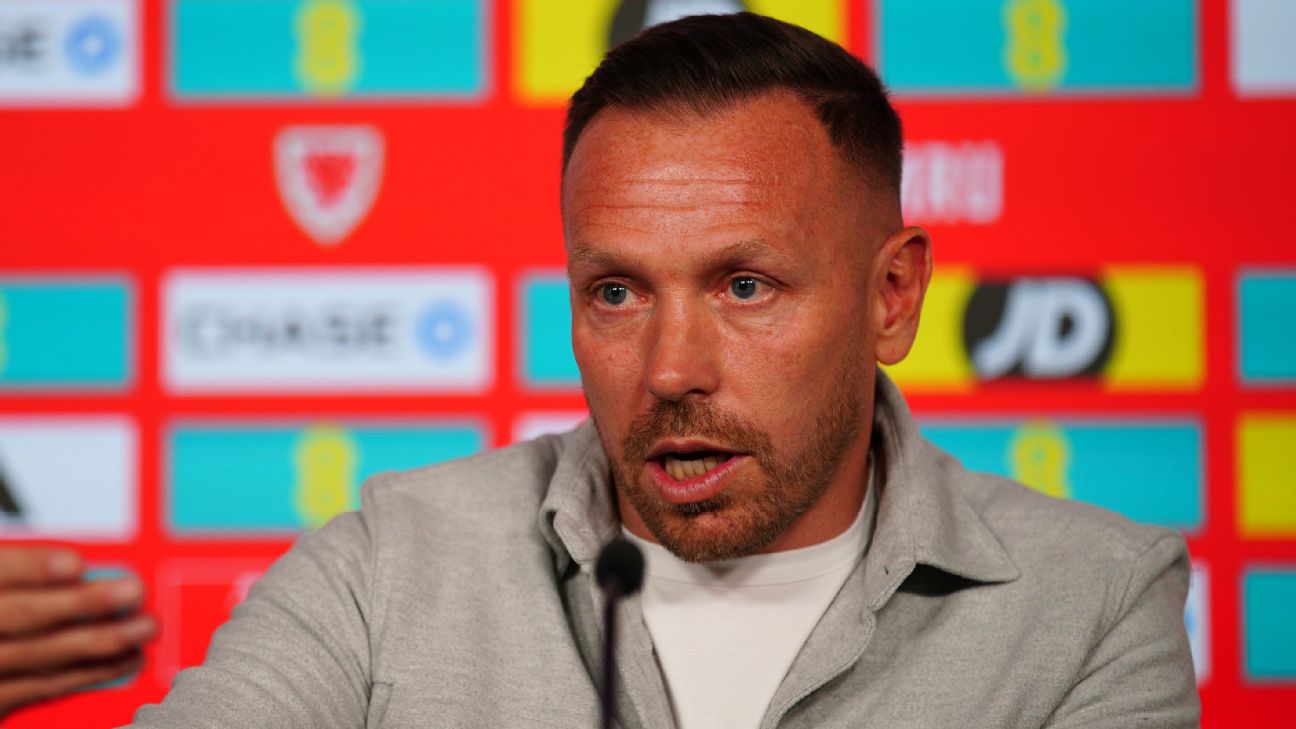 Bellamy 'ticks boxes' for Celtic, but he's focused on Wales