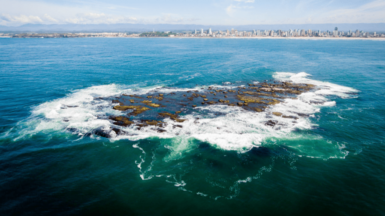 Legacy of Alabama A&M founder Dr. William Hooper Councill celebrated ...
