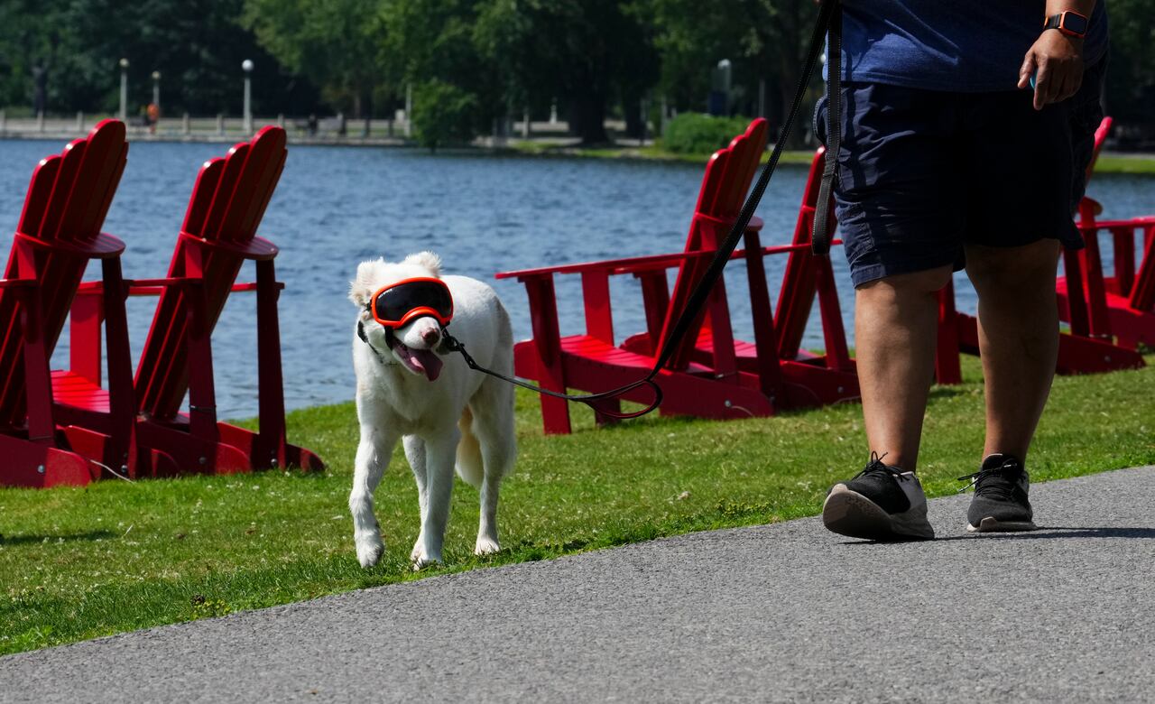 Welcome to the dog days of fall, as high temperatures melt records