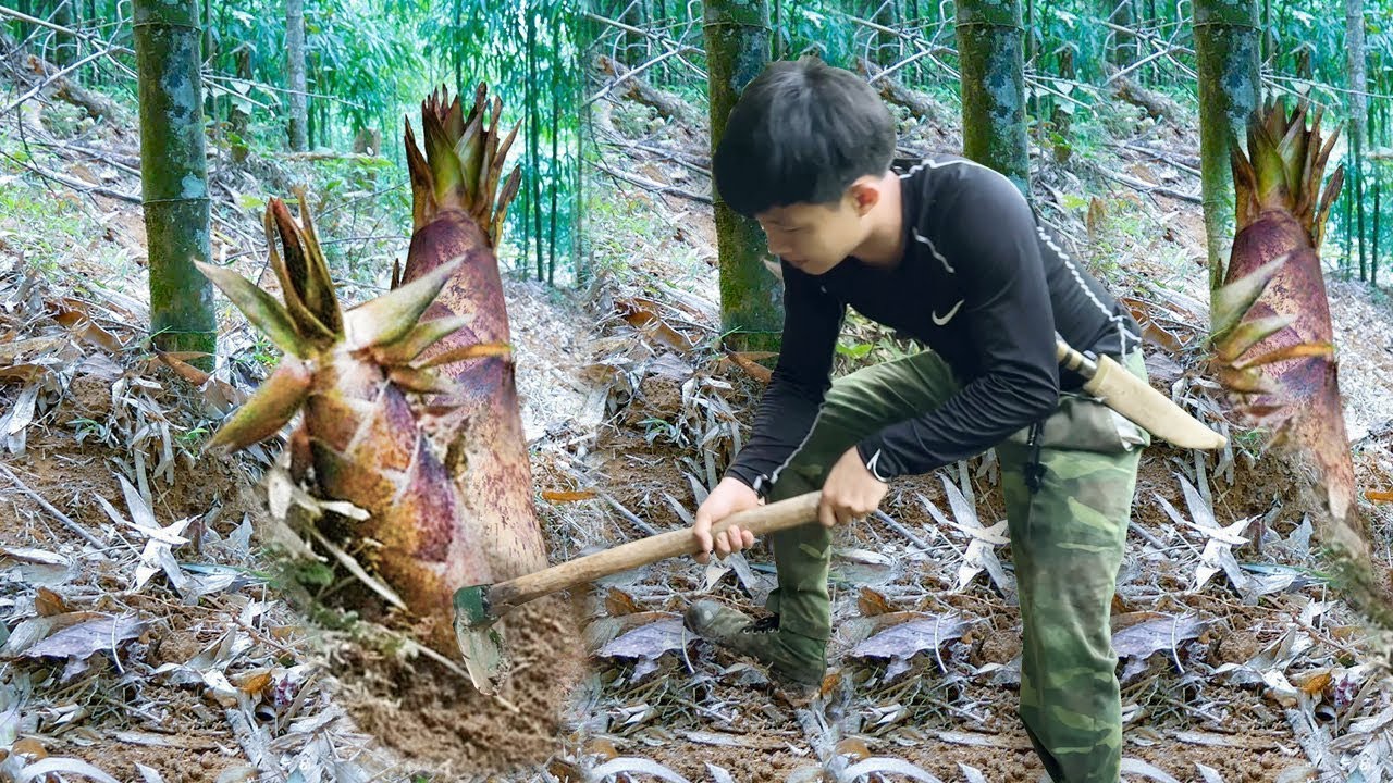 Two years off-grid – harvesting giant bamboo shoots & selling at market