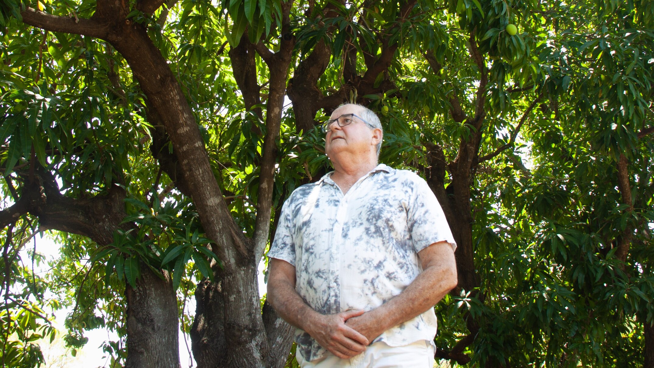 Ord Valley's northern food bowl 'pipe dream' struggles amid changing ...