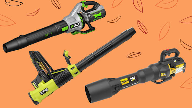 Best Cordless Leaf Blowers of 2025