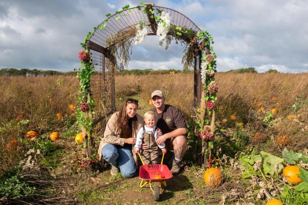 Spooktacular! Farm's pumpkin patch reopens in time for Halloween