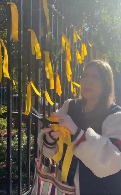 Woman filmed cutting down yellow ribbons for Israeli hostages from ...