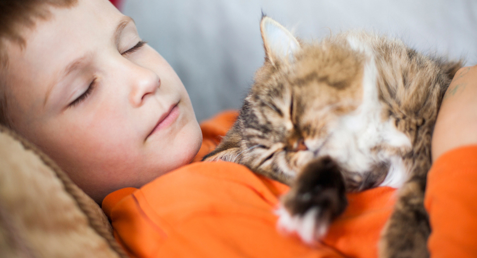 There is a "best" time to get a pet – and your kid may benefit from one