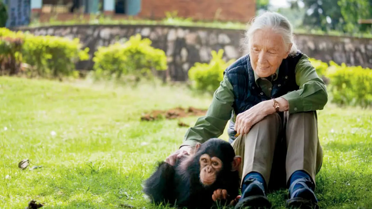 Netflix premieres ‘famous last words’ with Jane Goodall in final interview