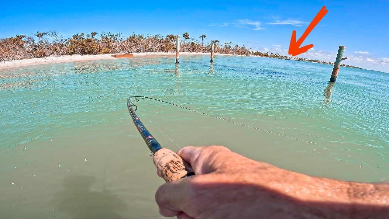 Underwater Hard Structure ¦ FISH & DIVE (1080p_24fps_H264-128kbit_AAC)