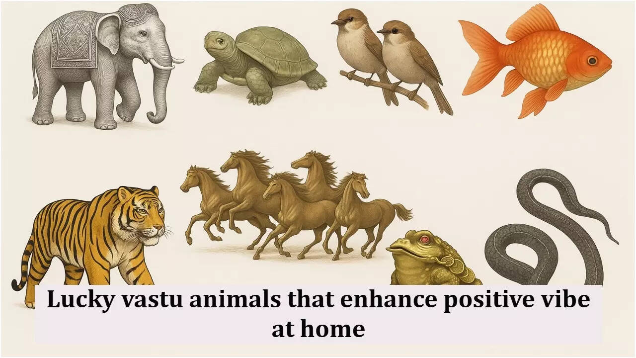 From Elephants to Fishes: Lucky vastu animals that enhance positive ...