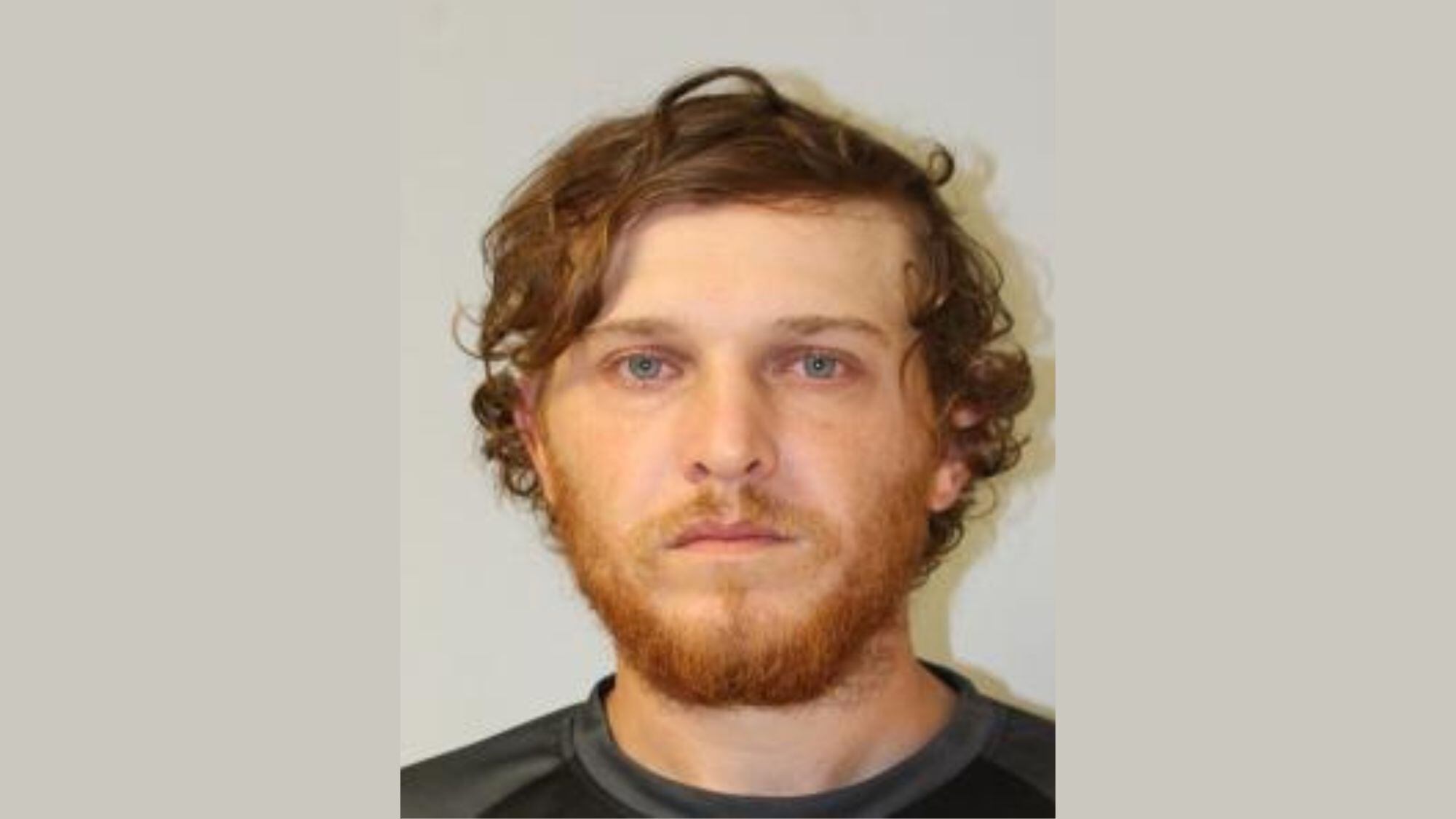 Suspect in deadly hit-and-run granted supervised release