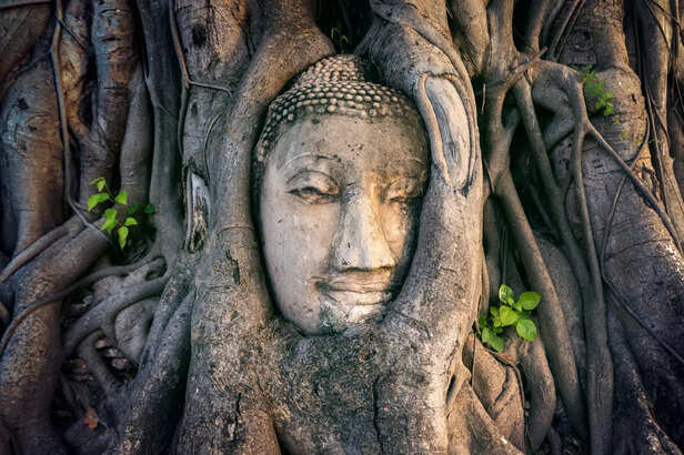 The Tale of Aranyani: The Mysterious Goddess of Forests