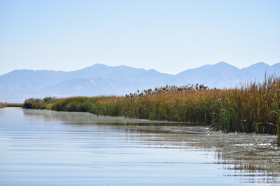 Record rainfall to have delayed but positive impact on the Great Salt Lake