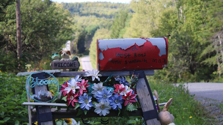 One year since Stefanie Damron's disappearance, family and advocates ...