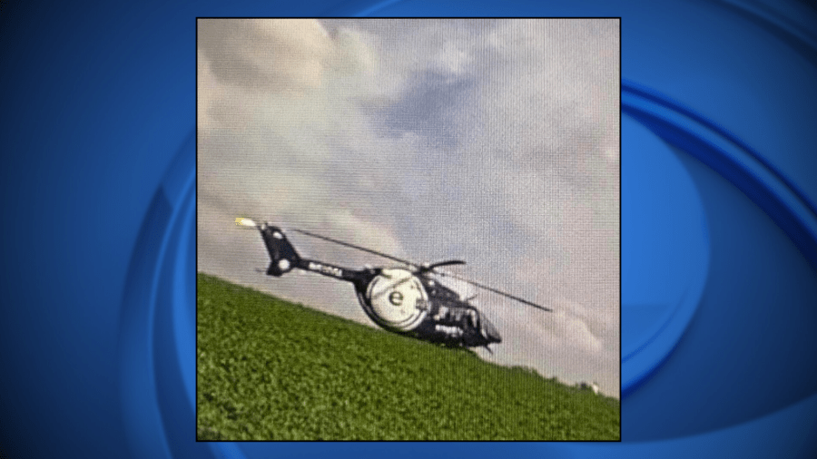 Minnesota man severely injured after falling 20+ feet out of a tree ...