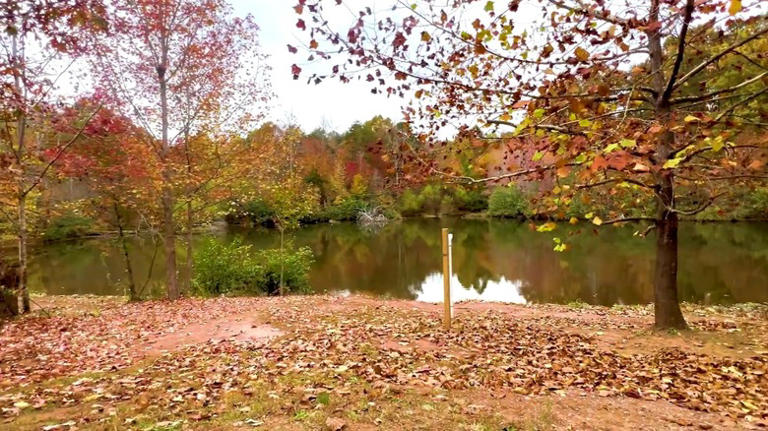 North Carolina's Underrated Town Has Boozy Stops, River Trails, And A ...