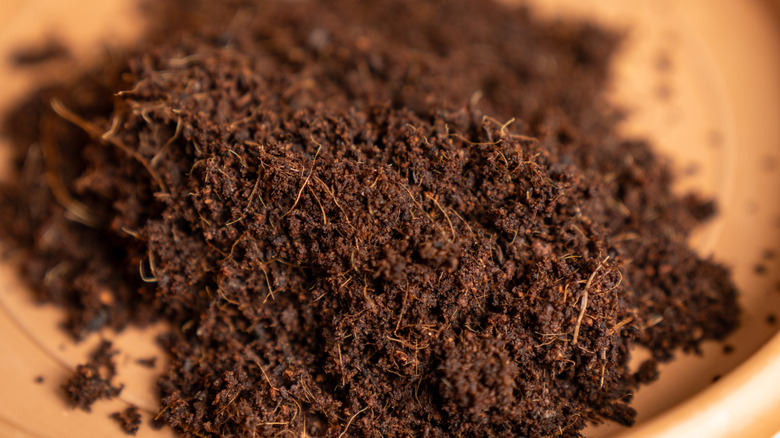 Will Peat Moss Damage Your Garden?