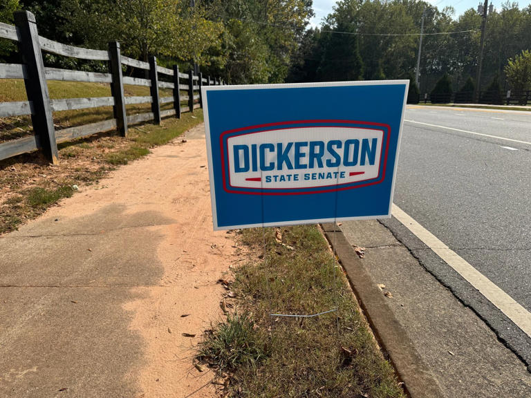 Georgia Republican wins state Senate race over Democrat who made ...