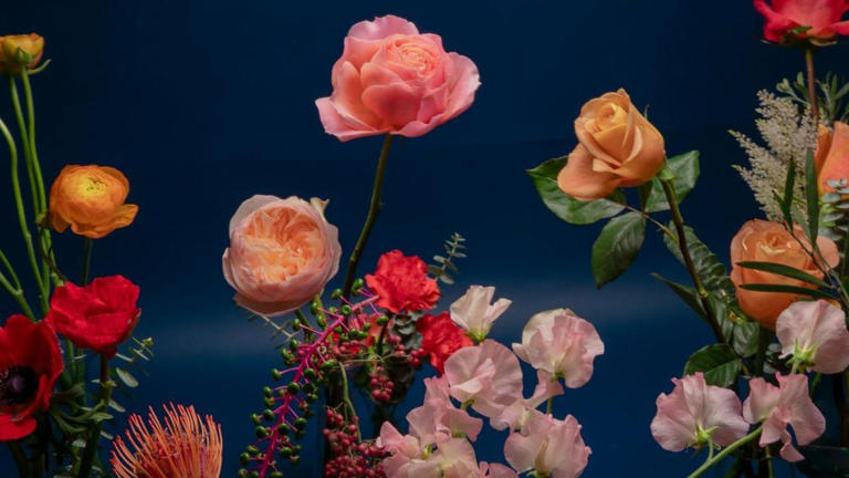 Your Soul Flower, According to Zodiac Sign