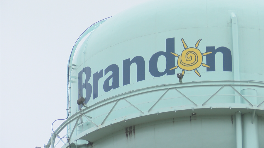 Backlash in Brandon over plans to remove park trees