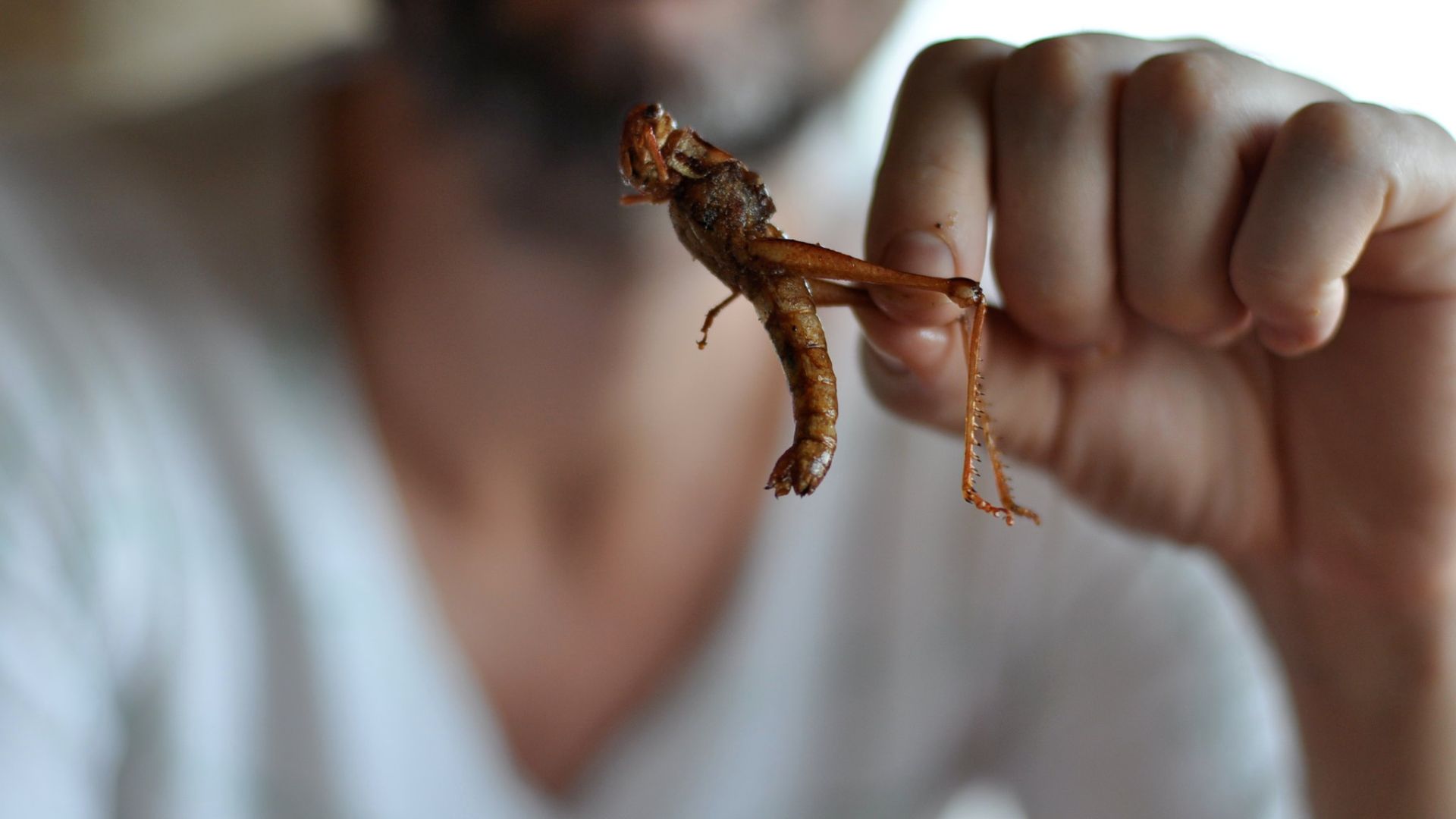 Survival 101: 20 Edible Things You Can Eat in the Wild To Keep You Alive