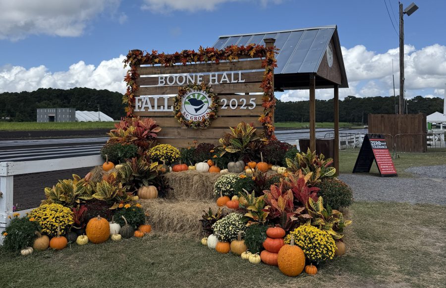 Fall festivities happening in the Lowcountry starting this week