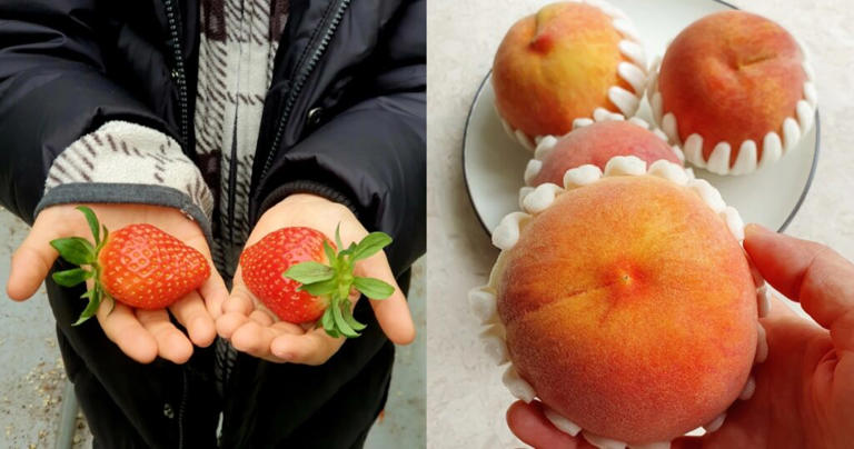 This business delivers fresh, sweet fruits from Korean farms to S’pore ...