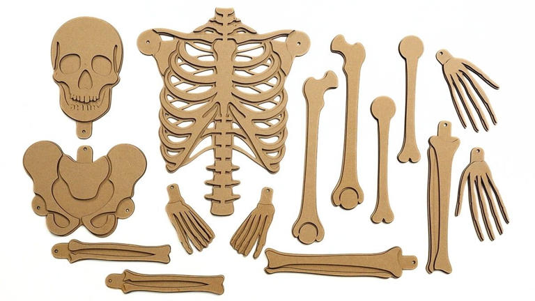 DIY Laser-Cut Halloween Skeleton Craft