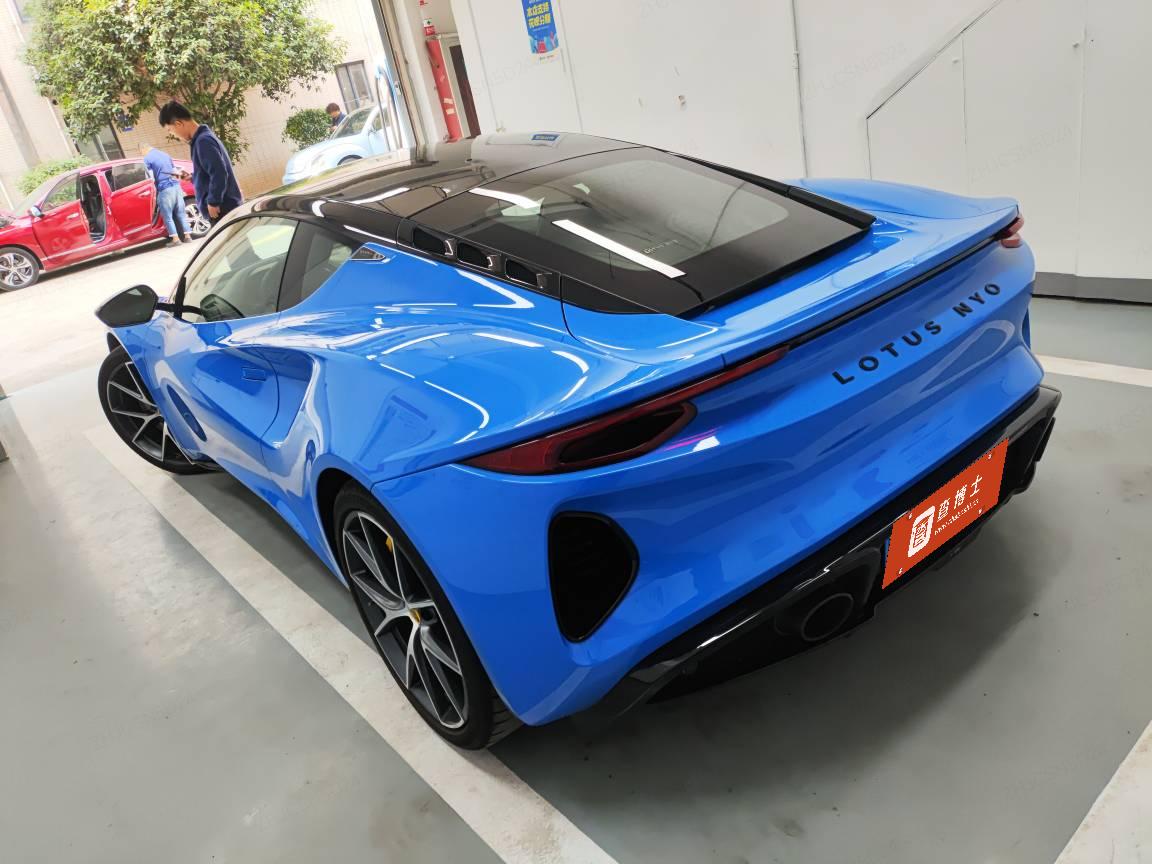 Fun Facts to Share With Your Grandkids About How Trees Communicate