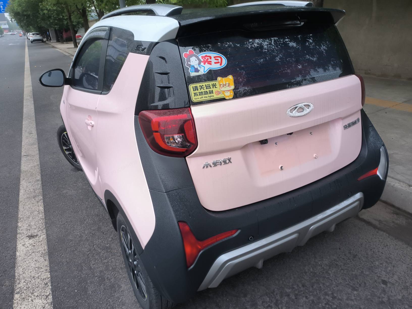 The Legend of Bill by David Reddick