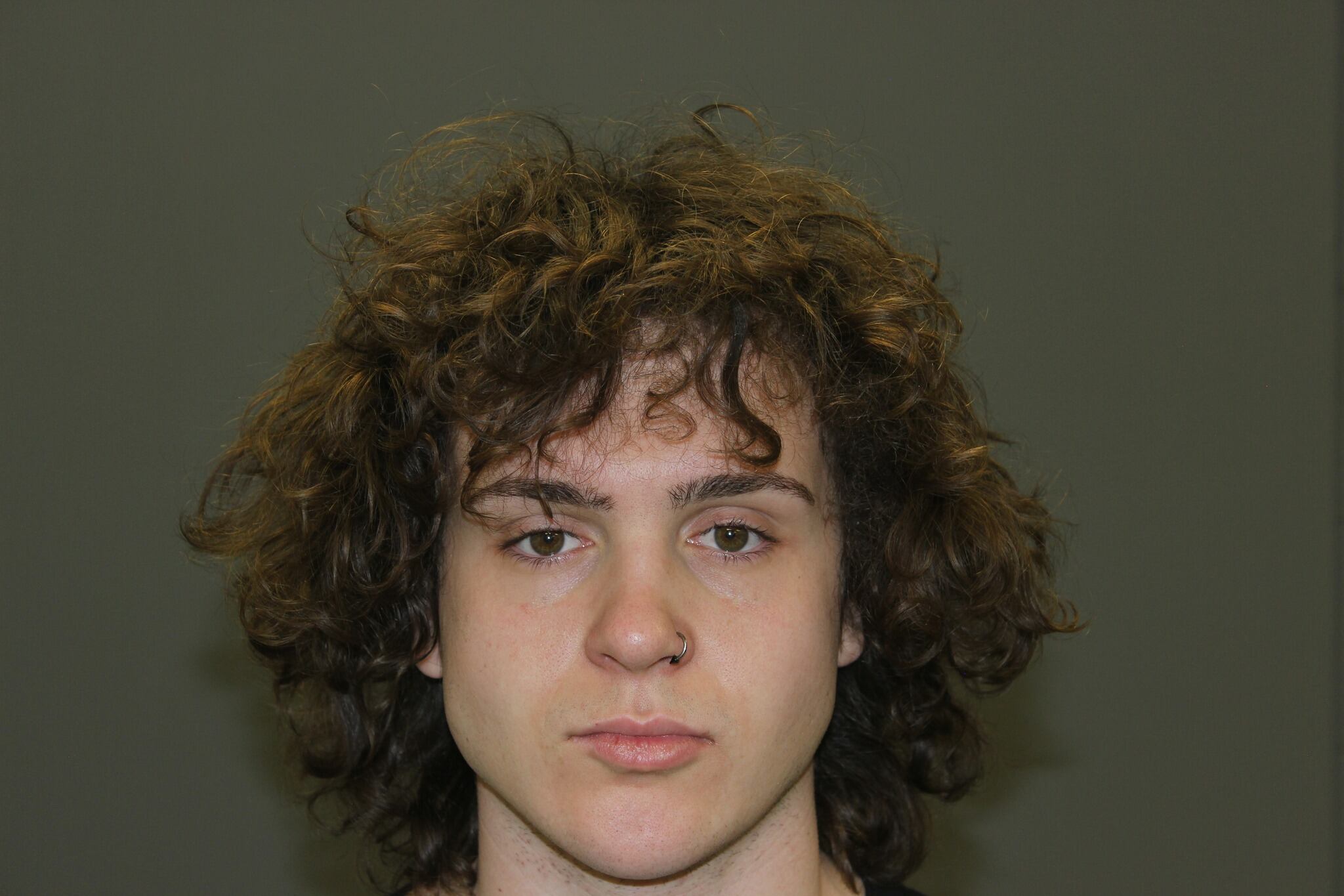 Man accused of killing pet rabbit sentenced