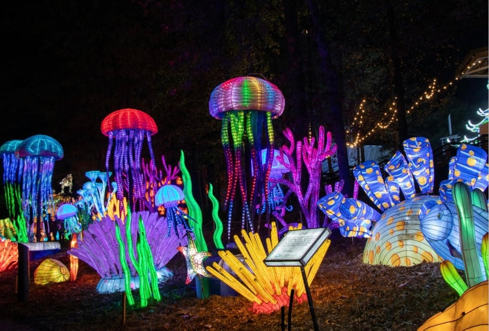 PandaFest, Glow Wild and More Fun Things To Do in CT This Weekend