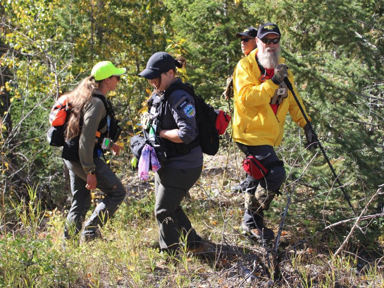 'Not giving up that hope': After 11-day search for missing boy, police ...