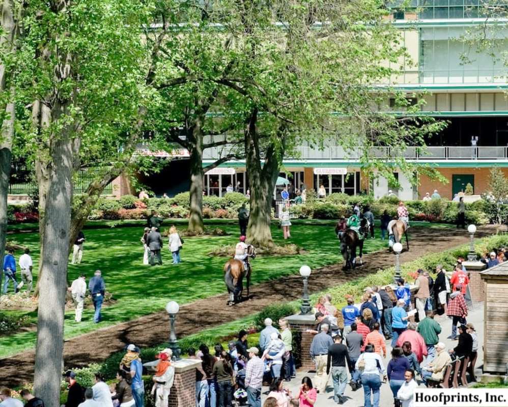 Delaware Park Casino raised over $166,000 for charity in 2025