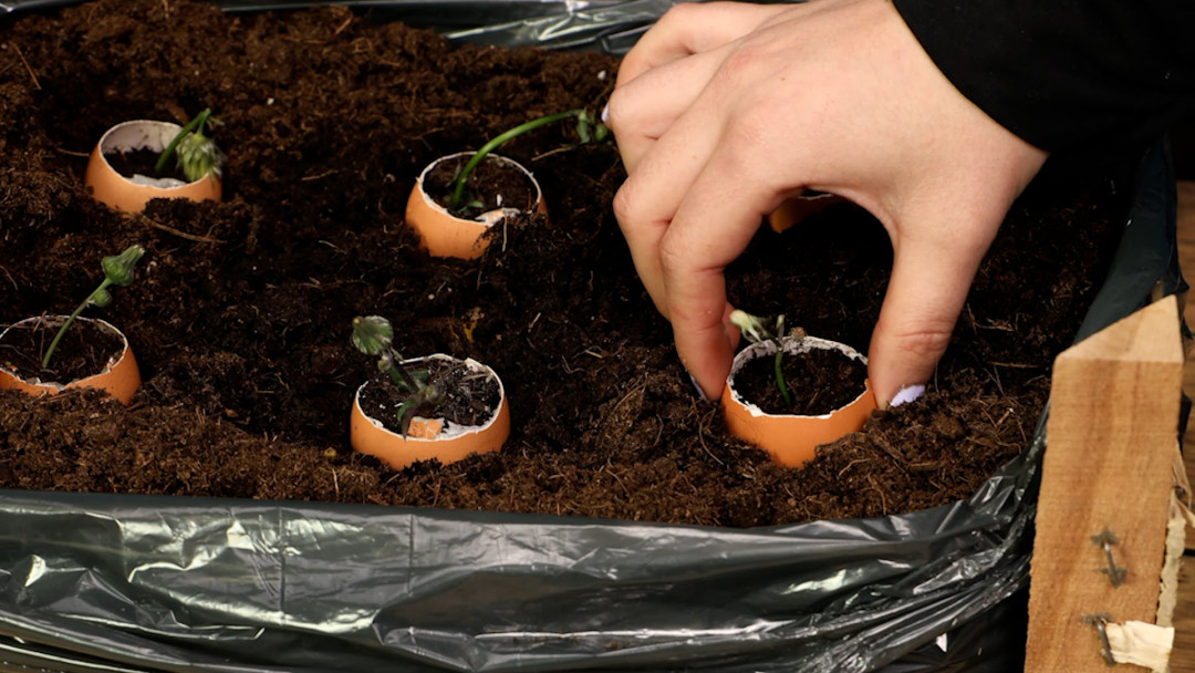 Discover New Levels of planting Success