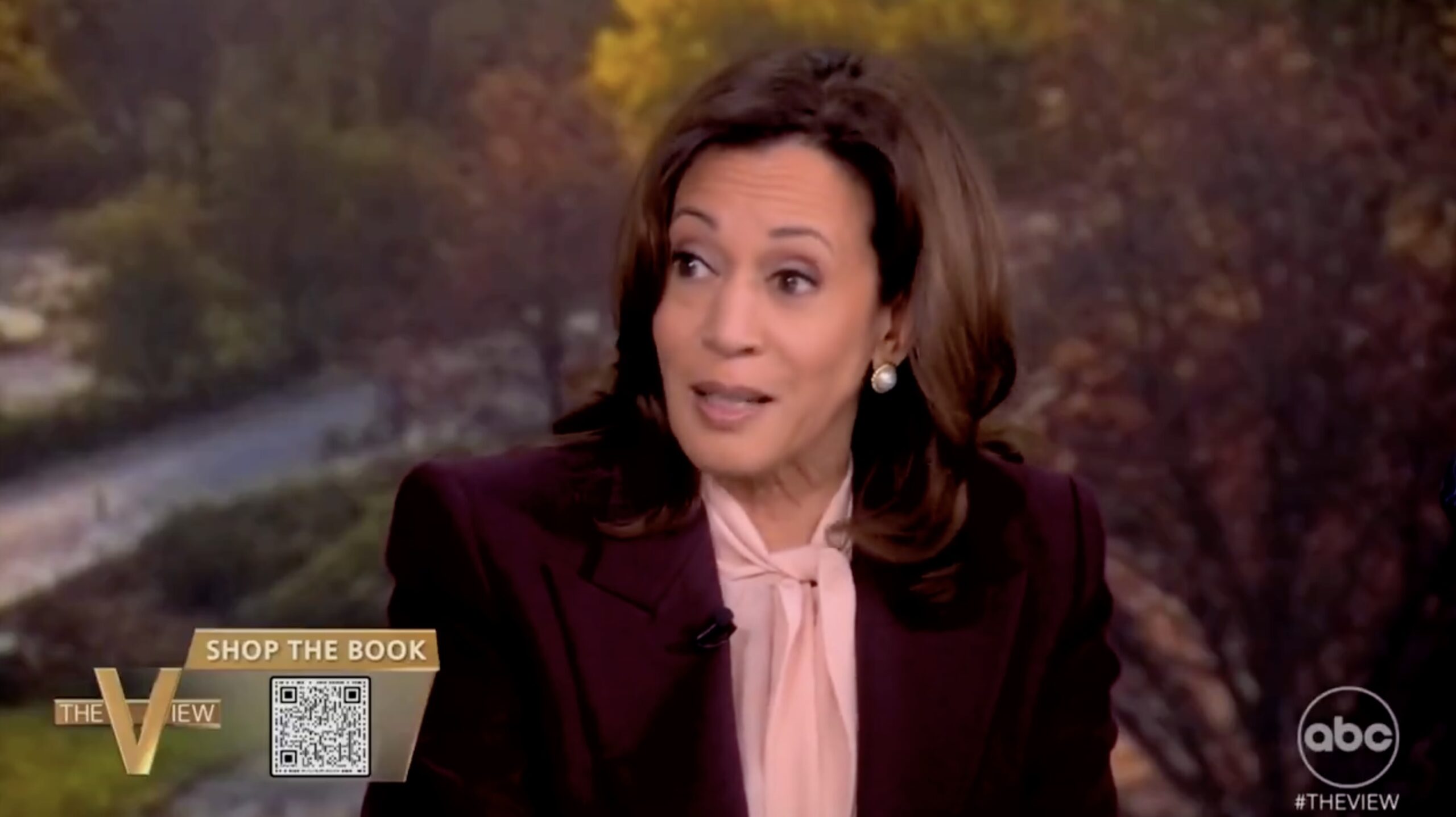 Kamala Harris Reveals Source at Fox News Leaked Election Data to Her ...