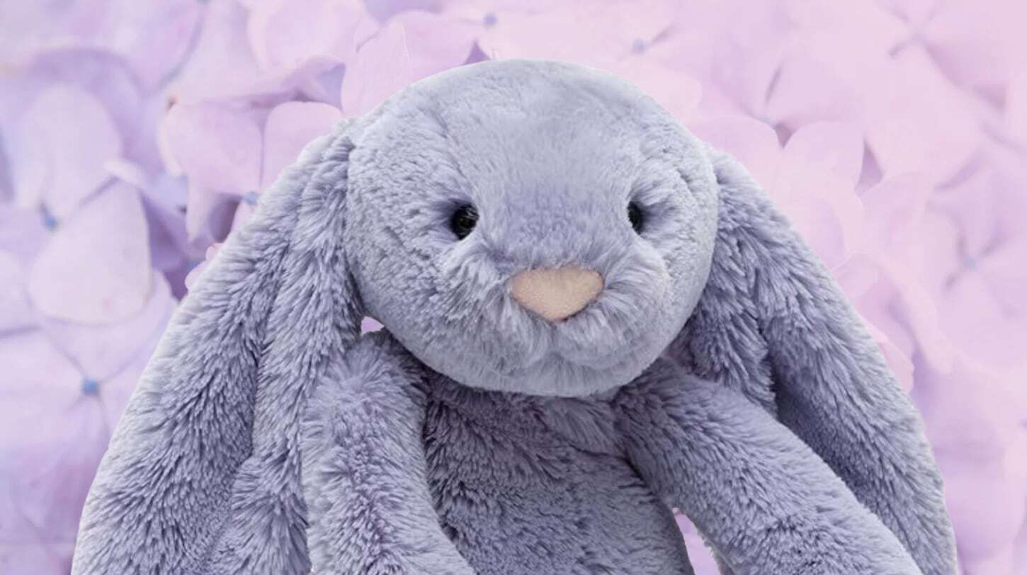 Amazon slashes price on iconic Bashful Viola Bunny Jellycat in limited ...