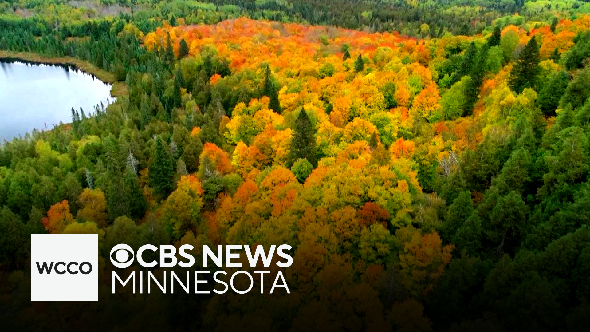 Fall colors starting to pop across Minnesota