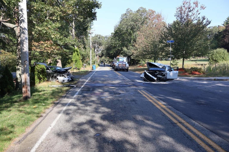 Wilmington police therapy dog Zena dies after two-car crash in Tewksbury