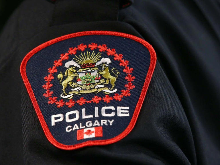 Calgary police seek suspect in alleged hate-motivated assault in Erin Woods