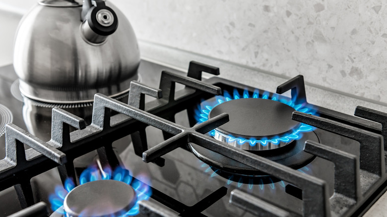 Why You Should Always Check The Flame Color When Using Your Gas Stovetop
