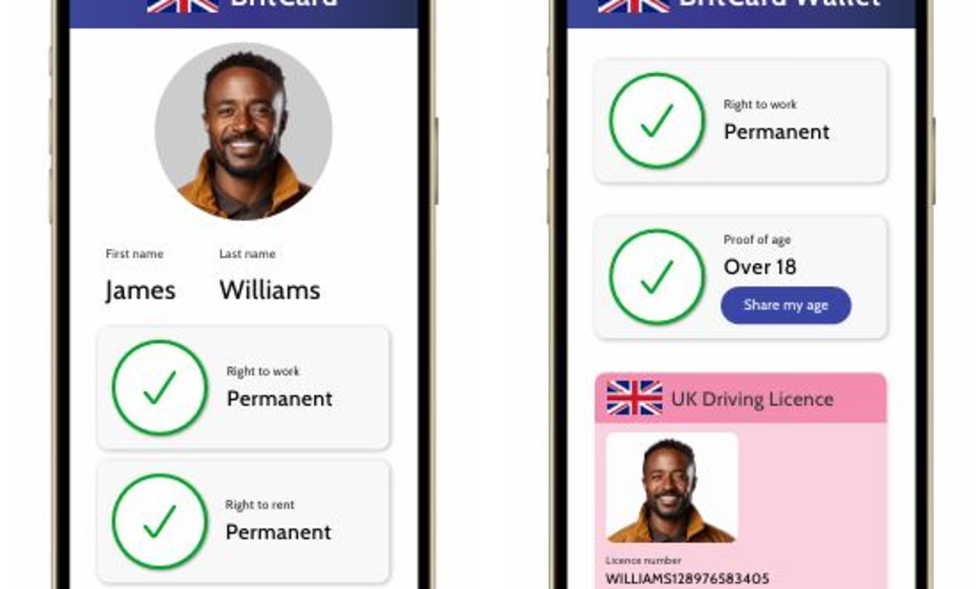 Digital ID 'superapp' could help with everything from proving age in ...