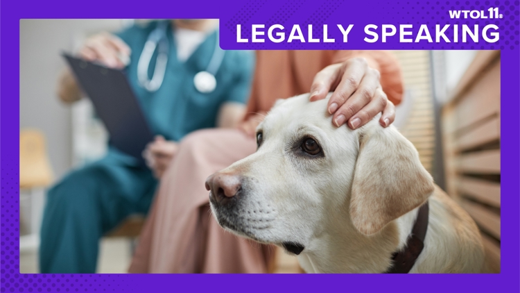 New law changes how veterinarians prescribe medication to pet patients ...