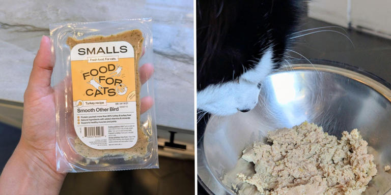 I fed my cats Smalls fresh food, and even my pickiest cat found a ...