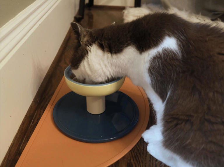 I've tested plenty of food with my 2 cats, and Smalls is the only fresh ...