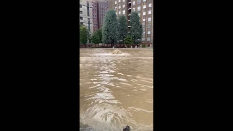 Italy: Flooding Hits Milan as Seveso River Overflows Its Banks